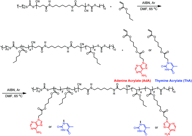 Nucleobase-functionalized acrylic ABA triblock copolymers and ...