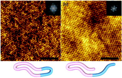 Self-assembly of cyclic polymers - Polymer Chemistry (RSC Publishing ...