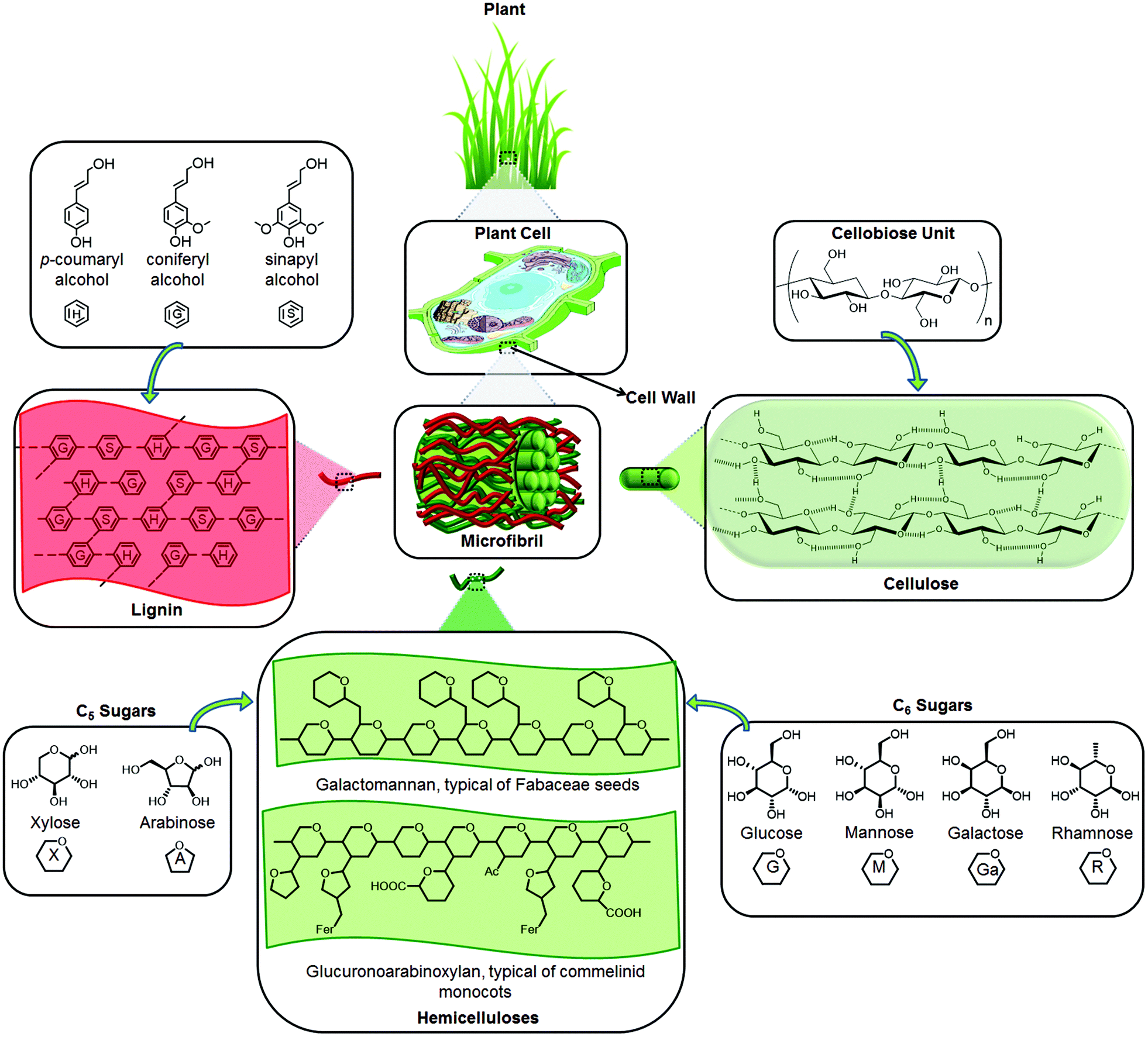 Lignocellulosic biomass: a sustainable platform for the production of ... Lignocellulosic biomass: a sustainable platform for the production of ...