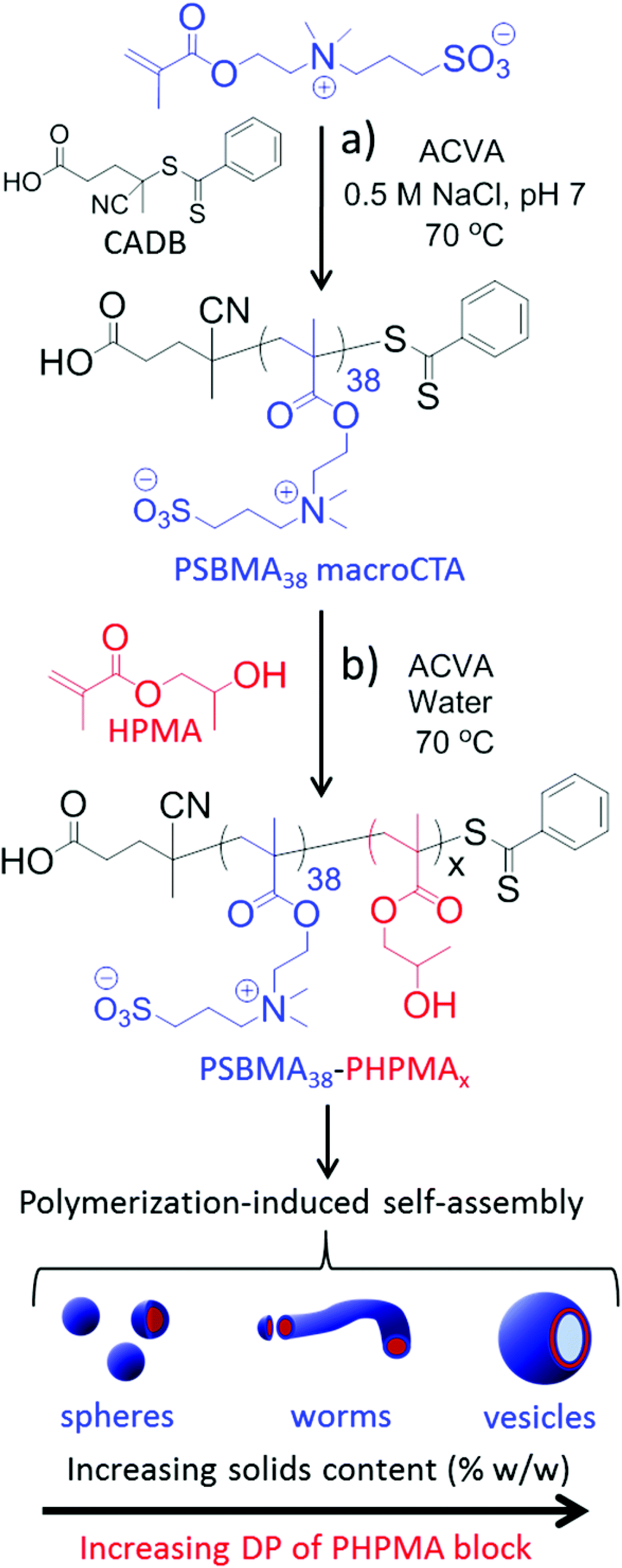 Polysulfobetaine-based diblock copolymer nano-objects via polymerization-induced self-assembly ...