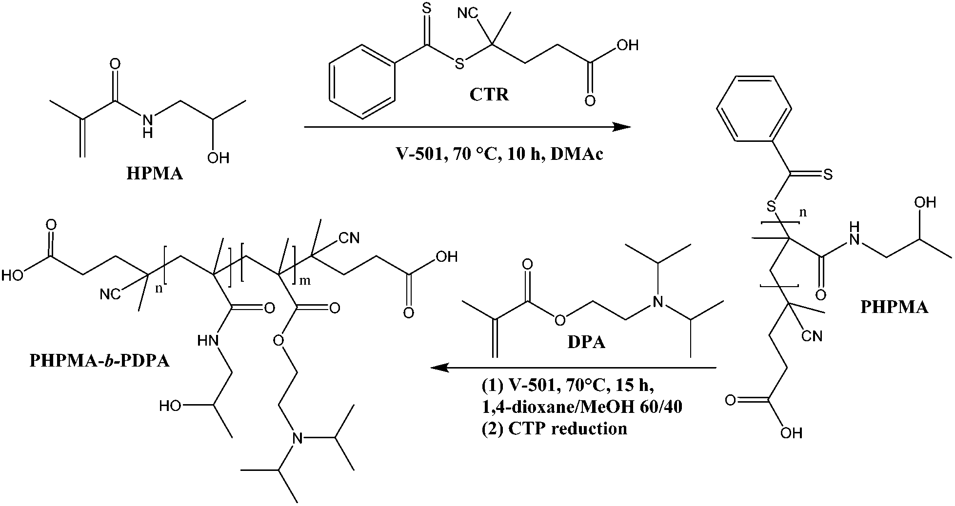 Nanoparticles of the poly([ N -(2-hydroxypropyl)]methacrylamide)- b ...