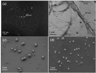 One-pot two polymers: ABB′ melt polycondensation for linear polyesters ...