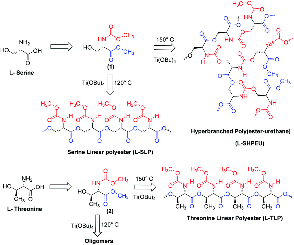 One-pot two polymers: ABB′ melt polycondensation for linear polyesters ...