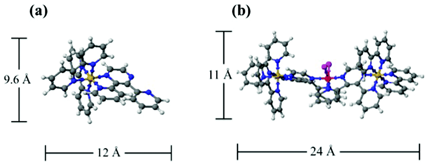 Size dependent ion-exchange of large mixed-metal complexes into Nafion ...