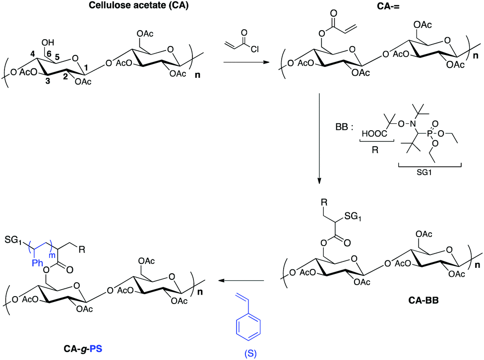 Synthesis of polystyrene-grafted cellulose acetate copolymers via ...