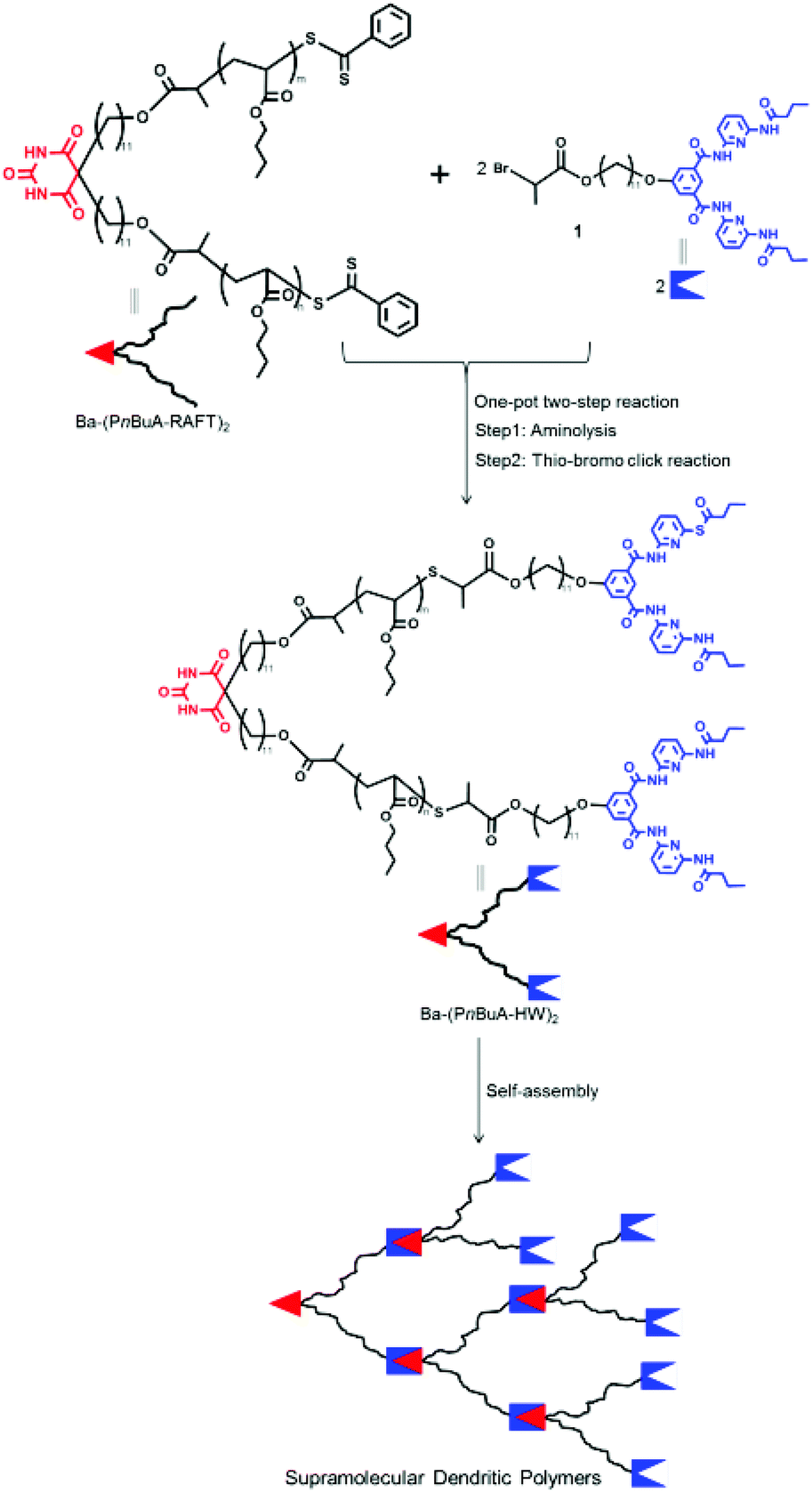 One-pot synthesis and self-assembly of supramolecular dendritic ...