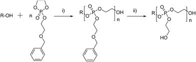 Multifunctional poly(phosphoester)s with two orthogonal protective ...