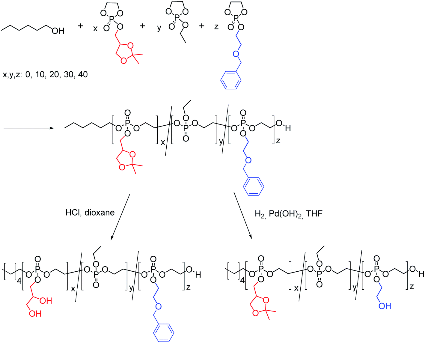 Multifunctional poly(phosphoester)s with two orthogonal protective ...