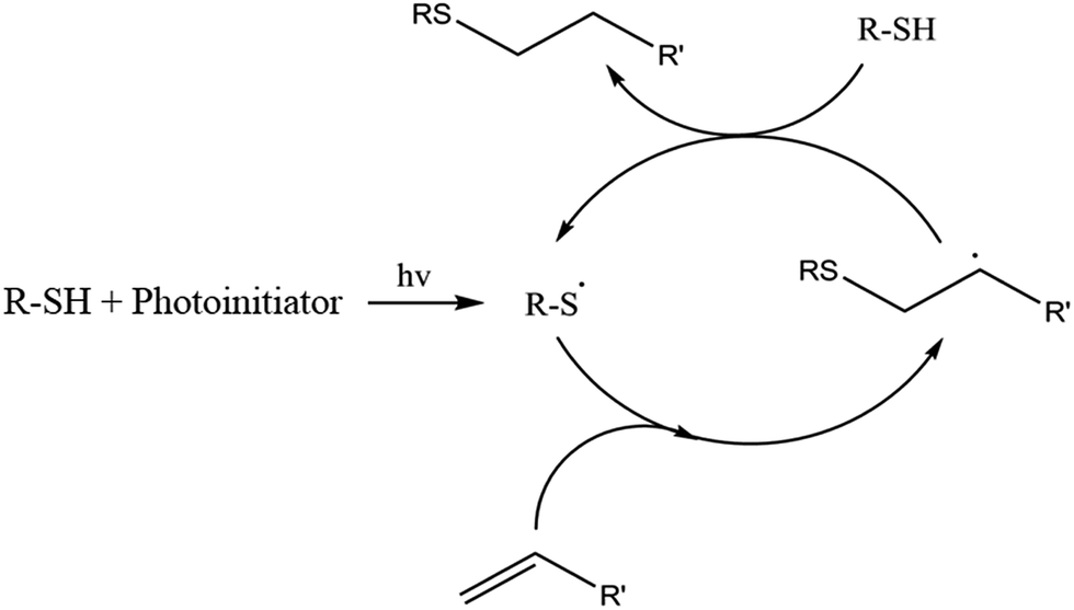 Preparation of click thiol-ene/thiol-epoxy thermosets by controlled photo/thermal dual curing ...