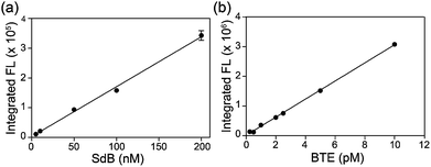 Mechanistic investigations reveal that dibromobimane extrudes sulfur ...