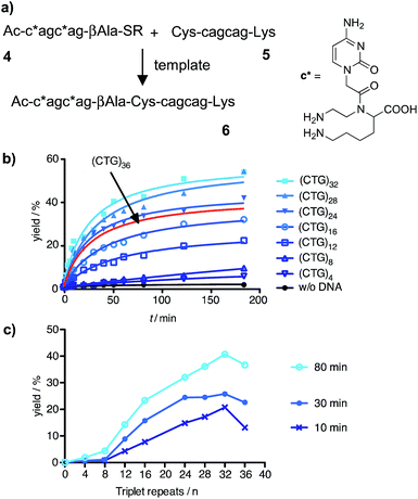 Template-directed ligation on repetitive DNA sequences: a chemical ...