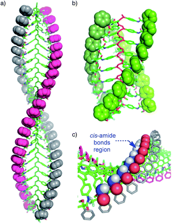 Reversible assembly of enantiomeric helical polymers: from fibers to ...