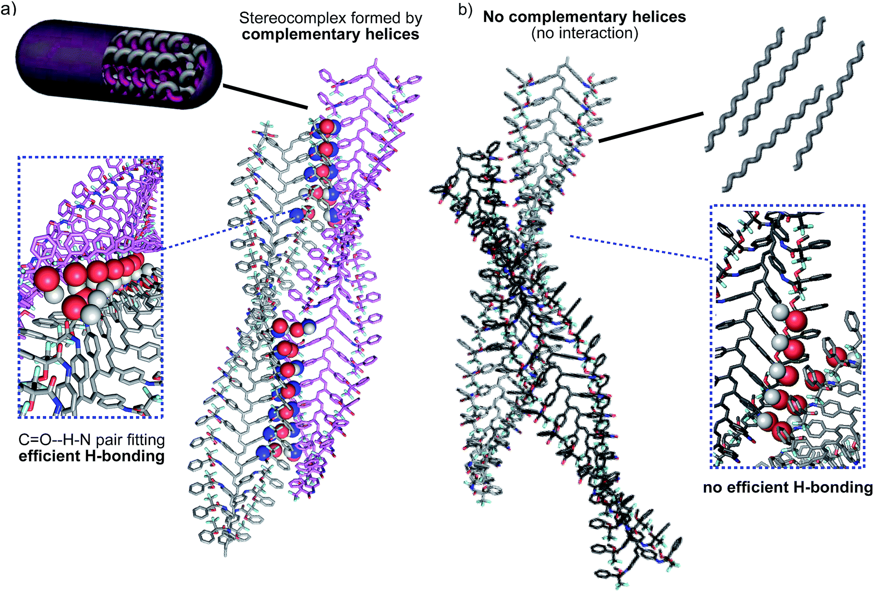 Reversible assembly of enantiomeric helical polymers: from fibers to ...