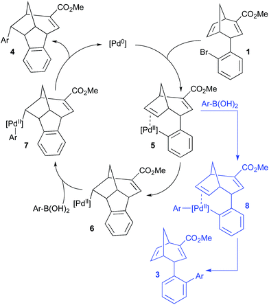 Synthesis of a novel polycyclic ring scaffold with antimitotic ...