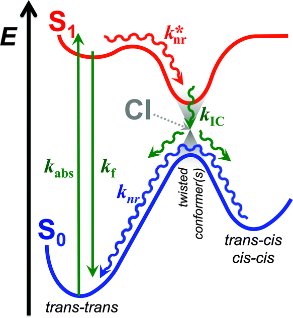 Photoinduced dynamics of a cyanine dye: parallel pathways of non ...