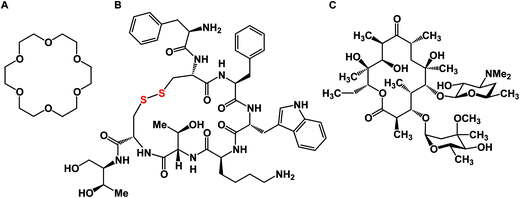 Macrocycles: lessons from the distant past, recent developments, and ...