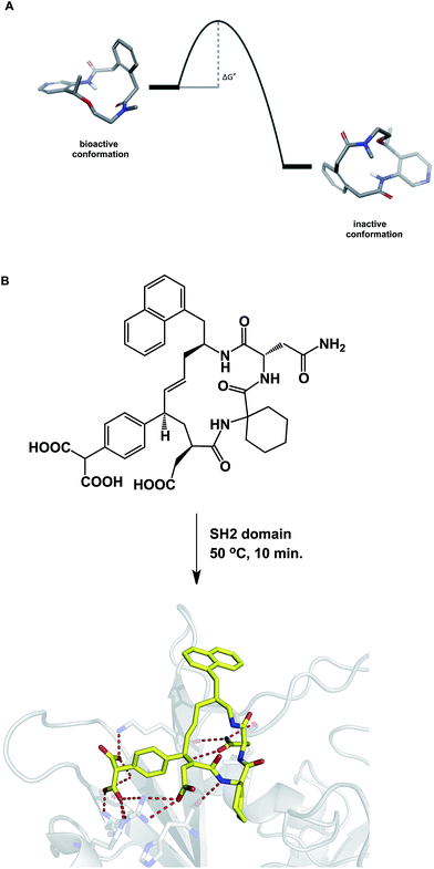 Macrocycles: lessons from the distant past, recent developments, and ...