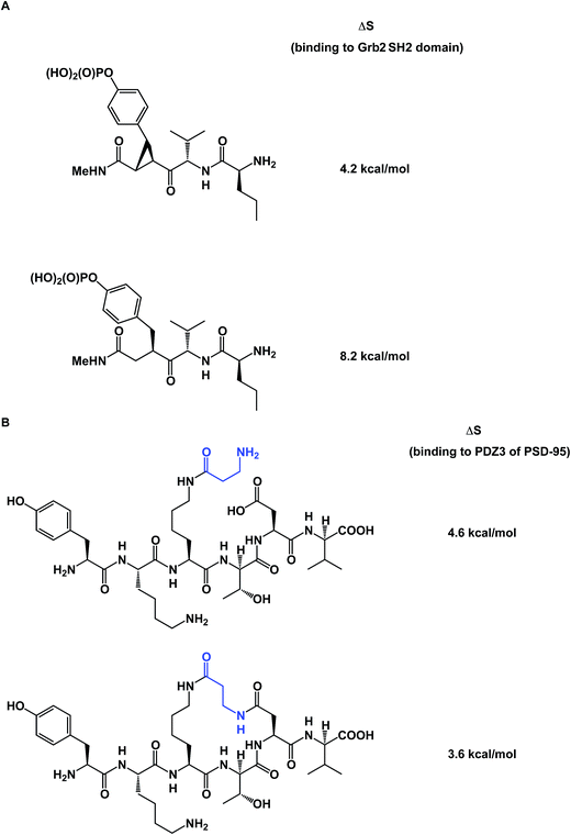 Macrocycles: lessons from the distant past, recent developments, and ...