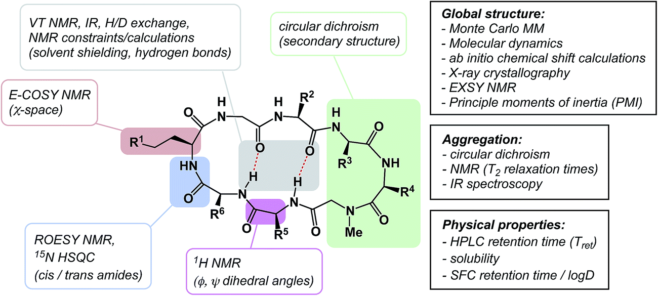 Macrocycles: lessons from the distant past, recent developments, and future directions ...