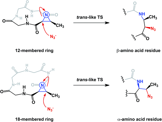 Macrocycles: lessons from the distant past, recent developments, and ...