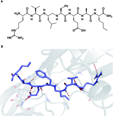 Macrocycles: lessons from the distant past, recent developments, and ...
