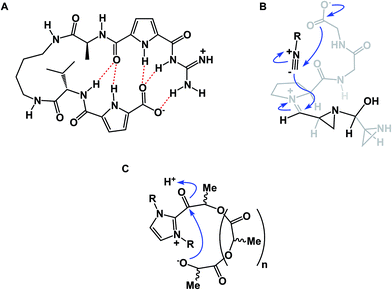 Macrocycles: lessons from the distant past, recent developments, and ...