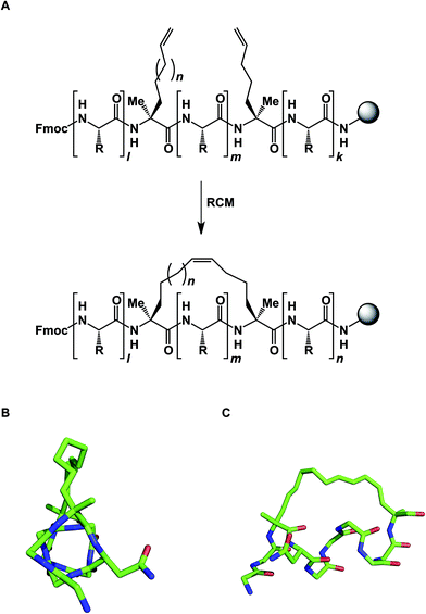 Macrocycles: lessons from the distant past, recent developments, and ...