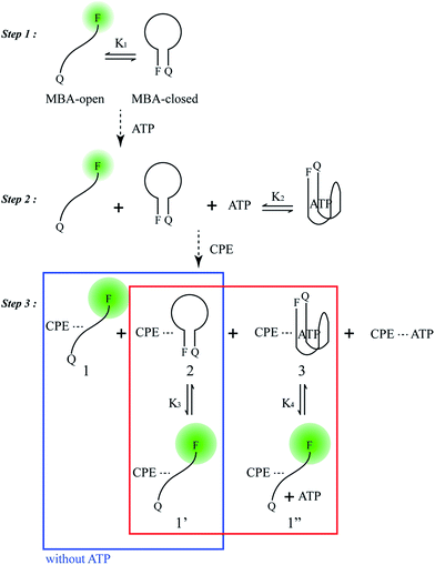 Principal factors that determine the extension of detection range in ...