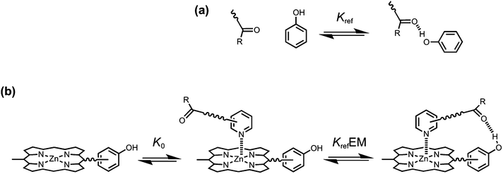 The flexibility–complementarity dichotomy in receptor–ligand ...