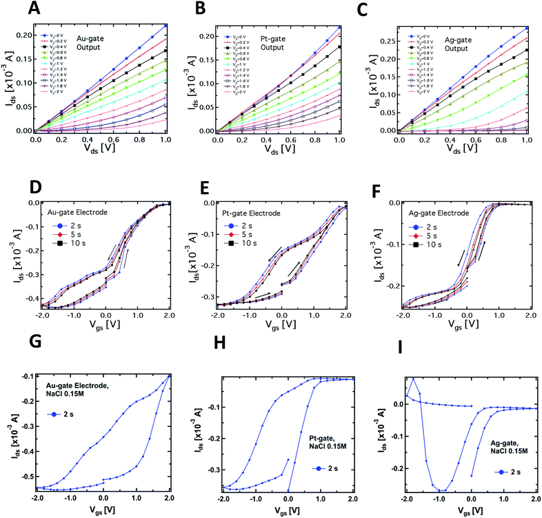 A hybrid living/organic electrochemical transistor based on the ...