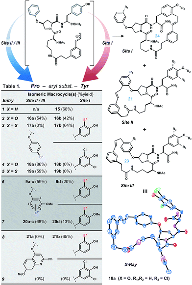 Large ring-forming alkylations provide facile access to composite ...