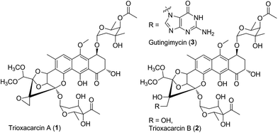 Biosynthesis of trioxacarcin revealing a different starter unit and ...