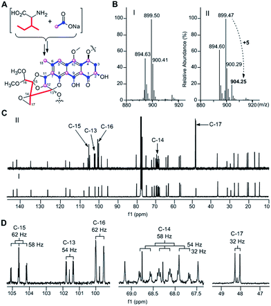 Biosynthesis of trioxacarcin revealing a different starter unit and ...