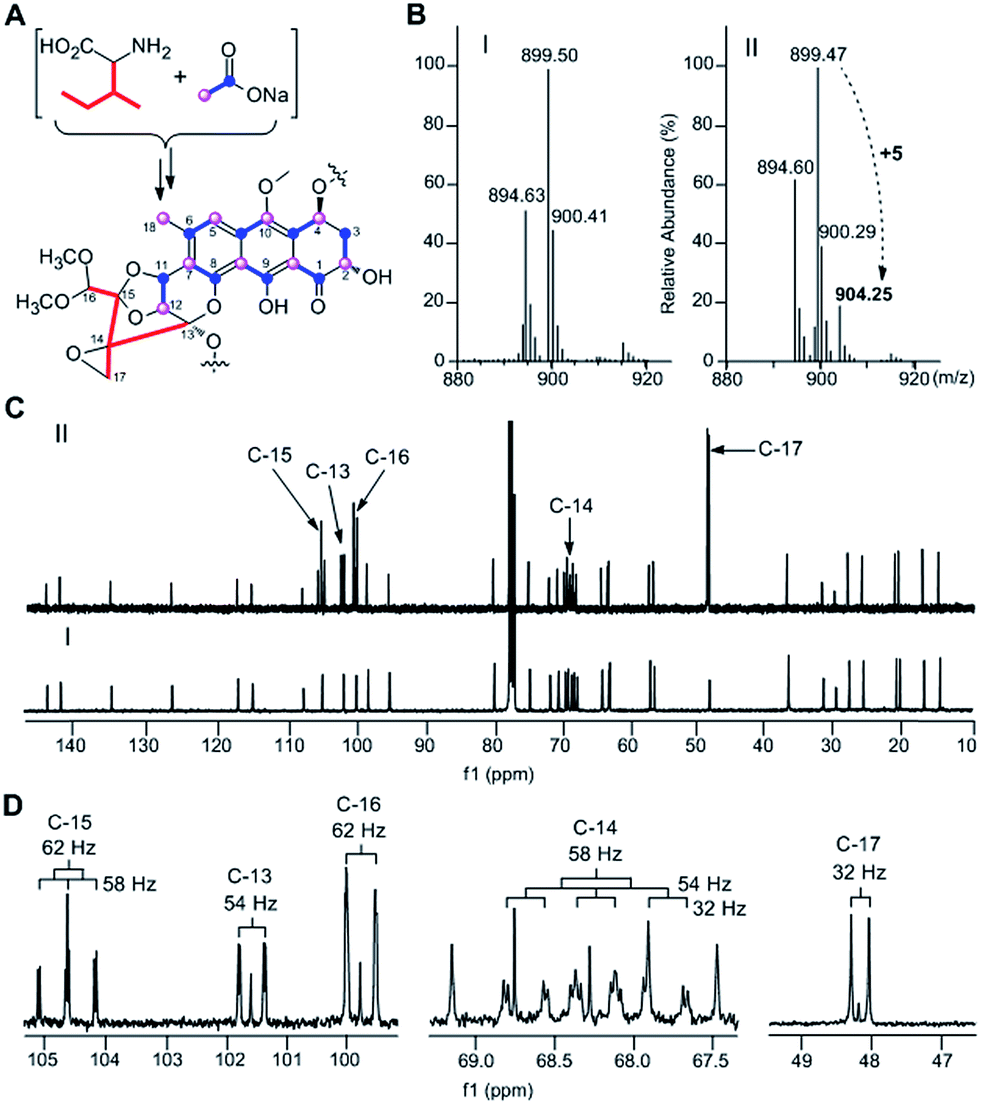 Biosynthesis of trioxacarcin revealing a different starter unit and ...