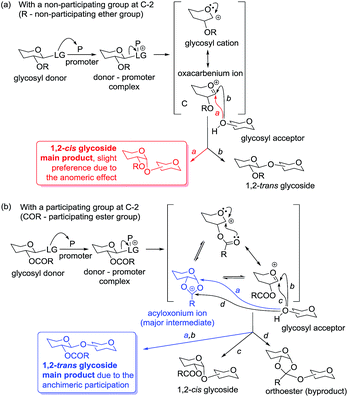 Stereocontrolled 1,2- cis glycosylation as the driving force of ...
