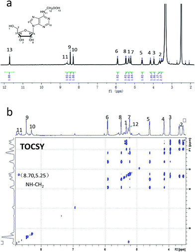 N 6 -Hydroperoxymethyladenosine: a new intermediate of chemical ...