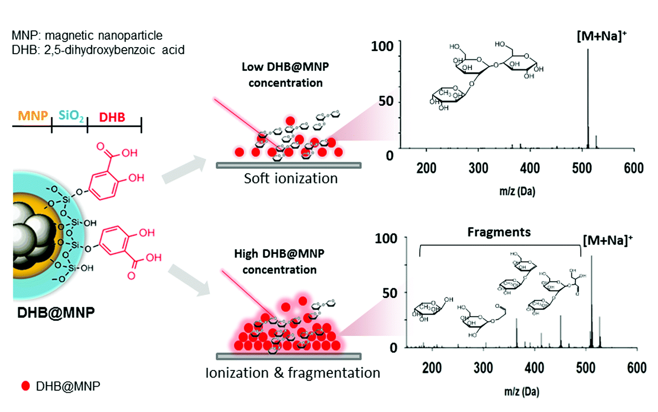UV-activated multilayer nanomatrix provides one-step tunable ...