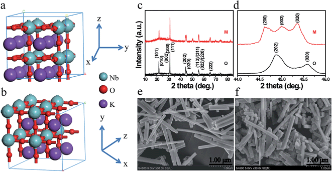 Insights into the structure–photoreactivity relationships in well ...