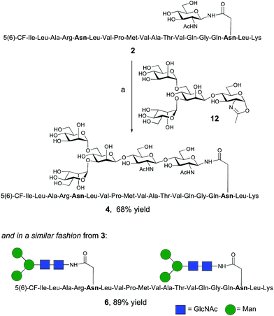 Convergent chemo-enzymatic synthesis of mannosylated glycopeptides ...