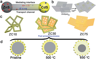 Self-assembly of a mesoporous ZnS/mediating interface/CdS ...