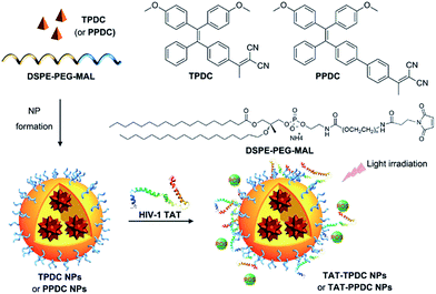 Tuning the singlet-triplet energy gap: a unique approach to efficient ...