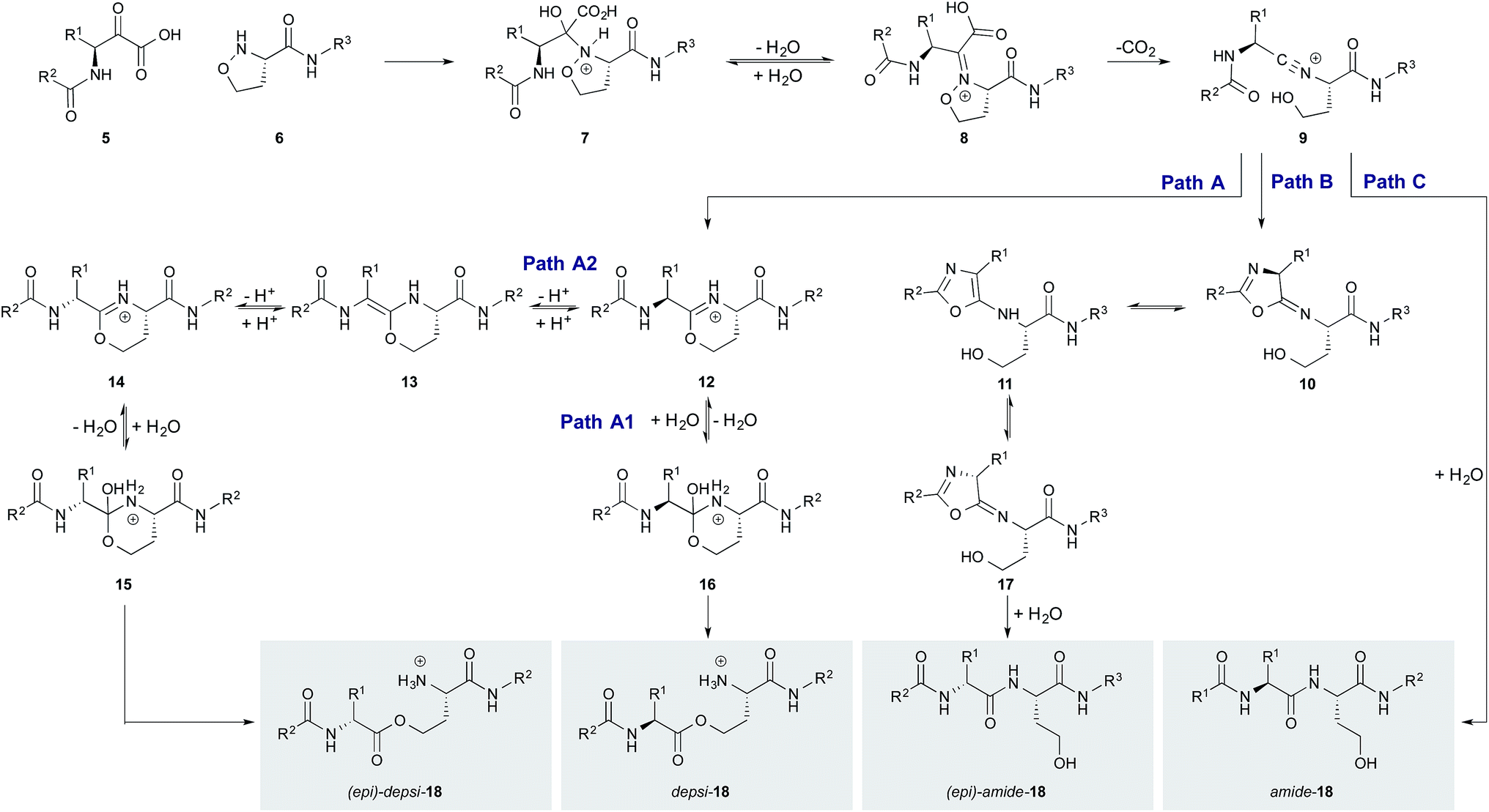 Spontaneous head-to-tail cyclization of unprotected linear peptides ...