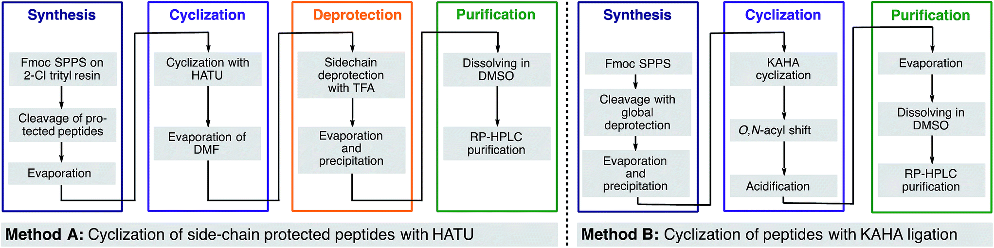 Spontaneous head-to-tail cyclization of unprotected linear peptides ...