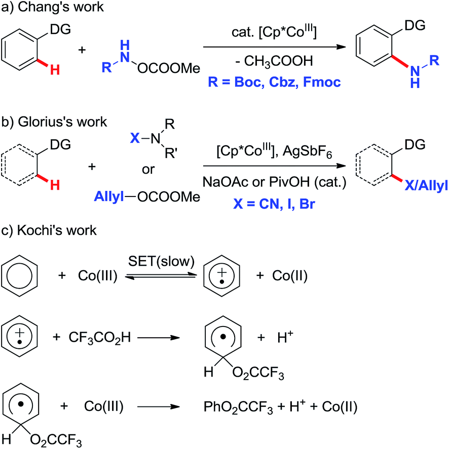 Mechanistic insights into cobalt( ii / iii )-catalyzed C–H oxidation: a ...