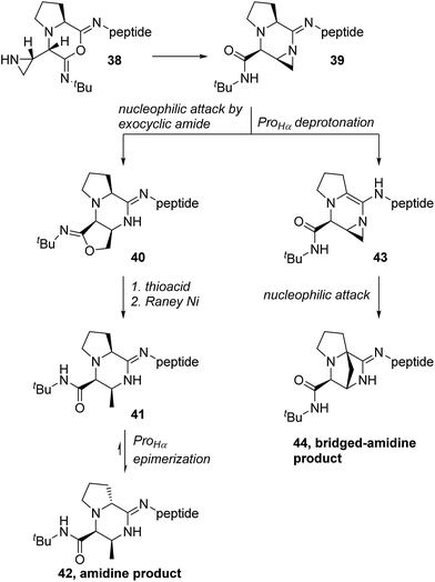 Mechanistic investigation of aziridine aldehyde-driven peptide ...