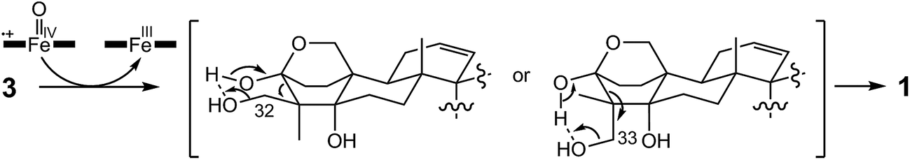 Genome mining and molecular characterization of the biosynthetic gene ...