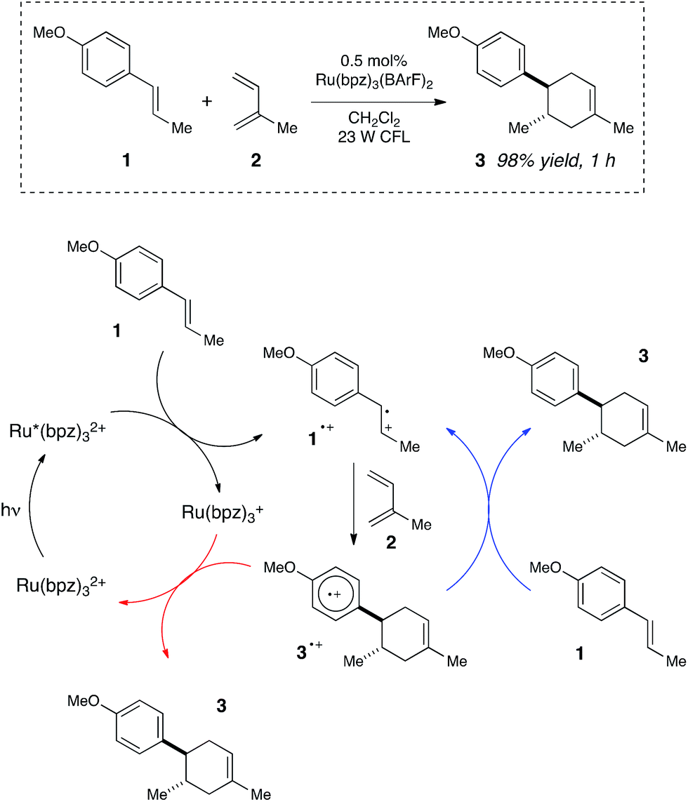 Characterizing chain processes in visible light photoredox catalysis ...