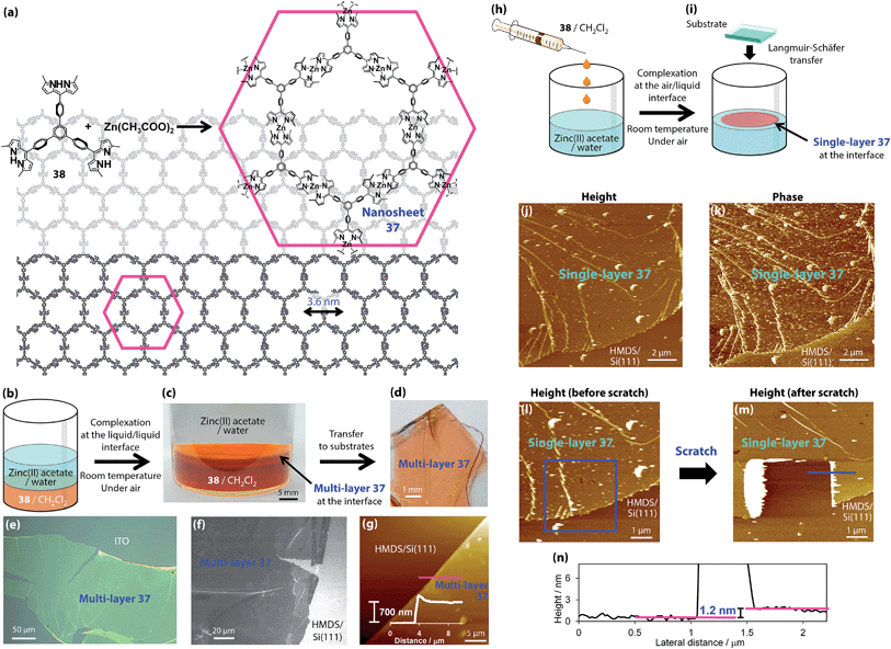 New aspects in bis and tris(dipyrrinato)metal complexes: bright ...