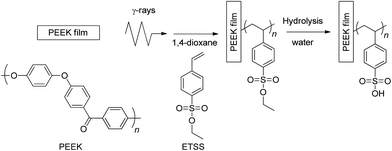 Poly(ether ether ketone) (PEEK)-based graft-type polymer electrolyte ...
