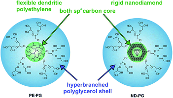 Carbon-based cores with polyglycerol shells – the importance of core ...